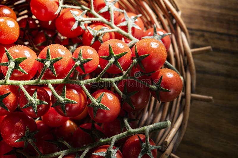 Beautiful Red Ripe Cherry Tomatoes Stock Image - Image of sprout ...