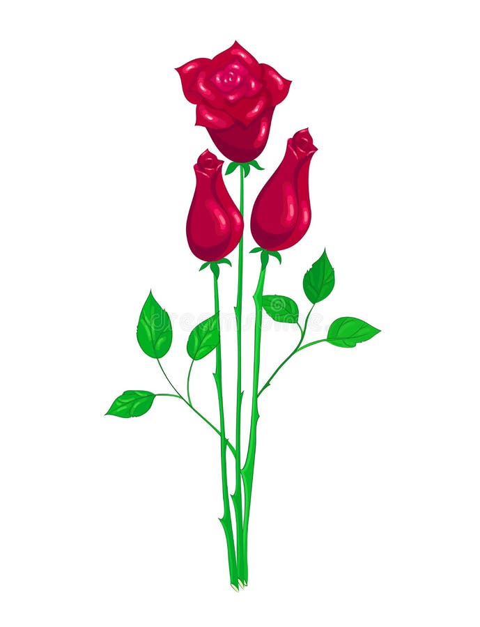 Beautiful red rose stock vector. Illustration of gift - 29033686
