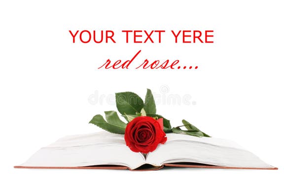 Beautiful Red Rose on the Book Stock Image - Image of love, memory ...