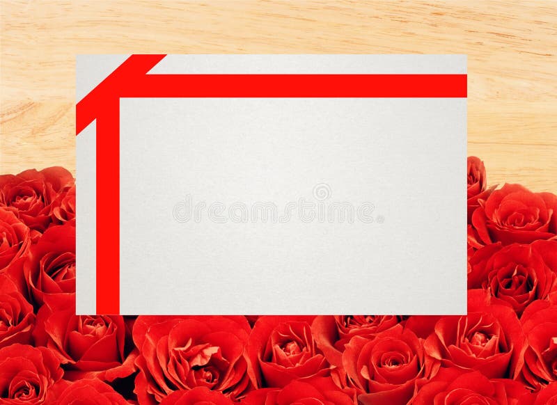 Red rose card stock photo. Image of individuality, macro - 18530000