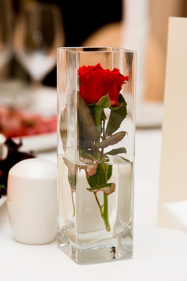 Single Red Rose Green Glass Vase Stock Photos - Download 205 Royalty ...