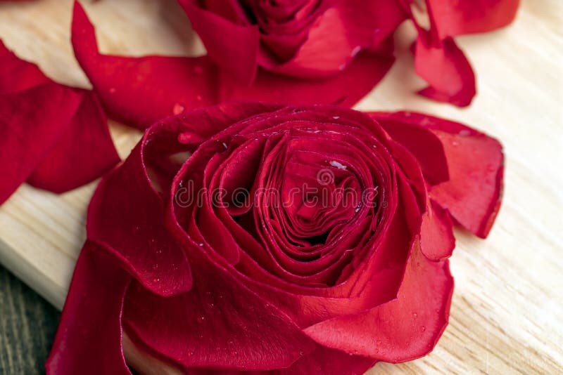 A Beautiful Red Rose Cut into Pieces Stock Photo - Image of decorative ...