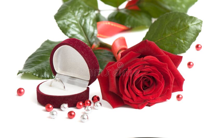 Beautiful Red Rose for Day Valentine As Gift Stock Image - Image of ...