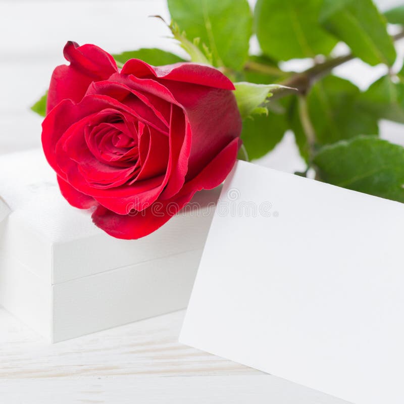 Beautiful Red Rose and Gift Stock Photo - Image of amor, copyspace ...