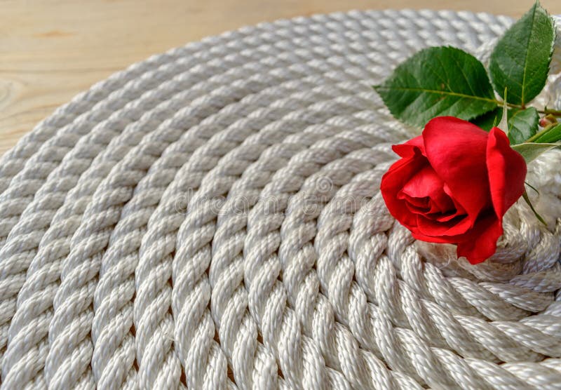Beautiful Red Rose Lily Over Rope Stock Photo - Image of arrangement ...