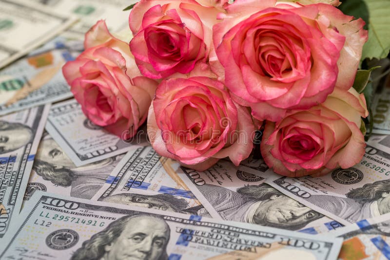 Beautiful rose and money stock photo. Image of concept - 109276060
