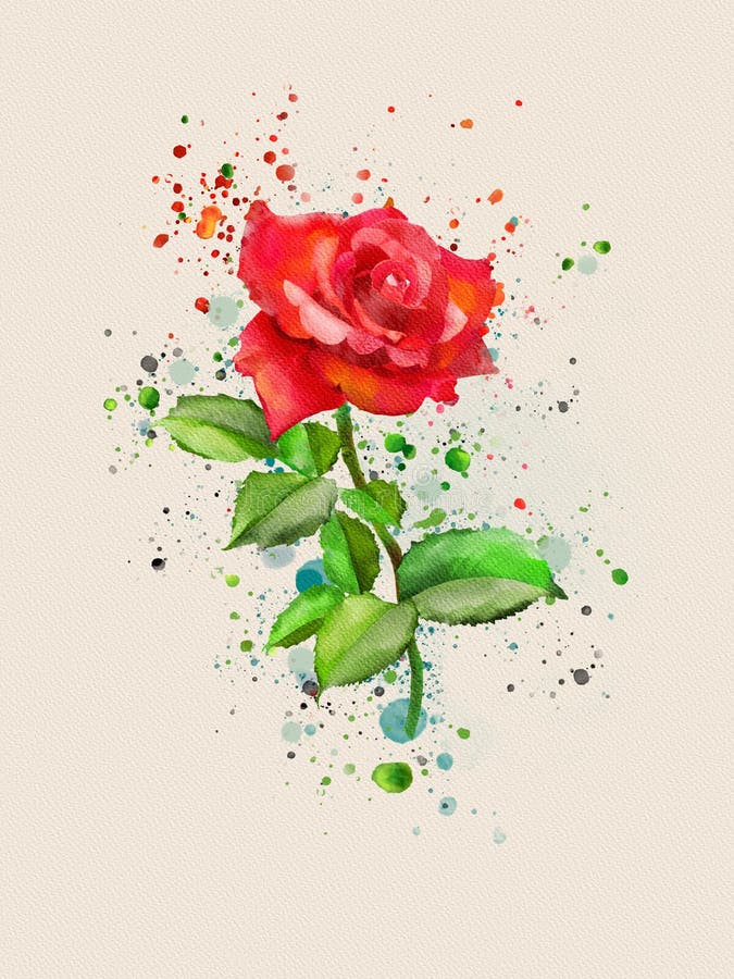 Beautiful Red Rose with Paint Splatter Stock Illustration ...
