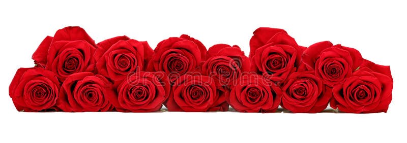 785 Horizontal Roses Border Stock Photos - Free & Royalty-Free Stock ...