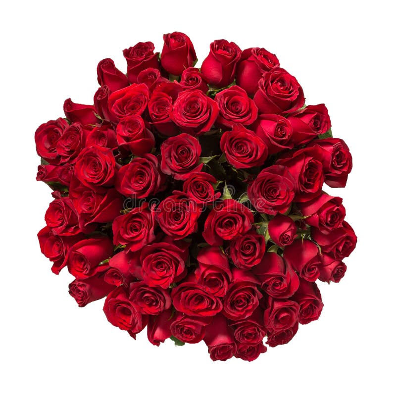 Beautiful Red Roses Bouquet Isolated on White Stock Photo - Image of ...