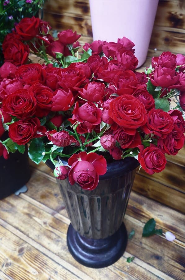 Beautiful Red Roses Bouquet in a Vase Stock Photo - Image of bouquet ...