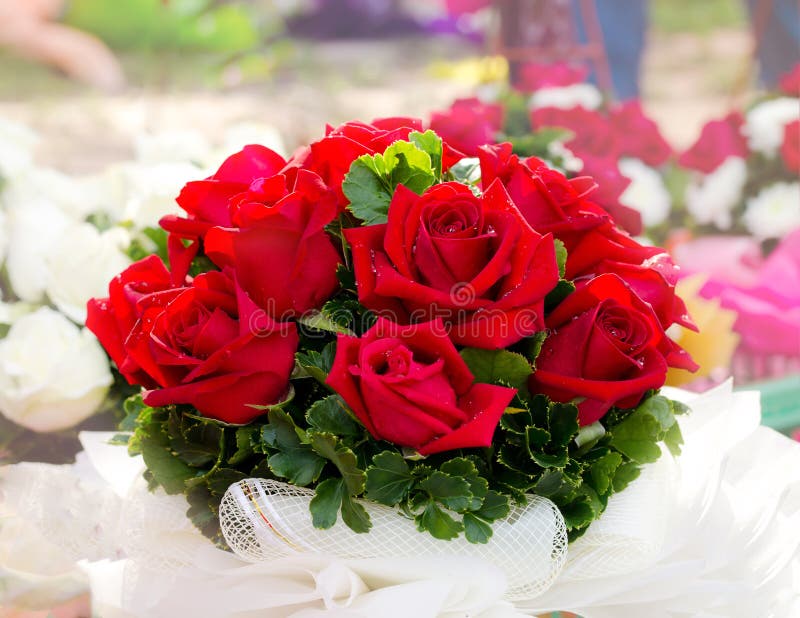 Beautiful Red Roses Bouquet Stock Photo - Image of love, green: 58264504