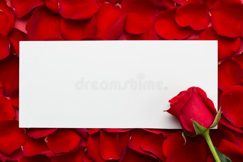 Red Roses and Heart with a Blank Note Stock Image - Image of nature ...
