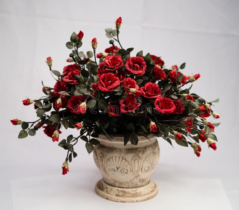 Beautiful Red Roses in a Ceramic Pot Stock Image - Image of february ...