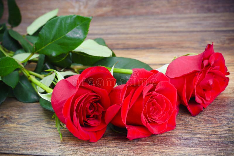 Beautiful Red Roses Flower on Wood Stock Image - Image of love, season ...