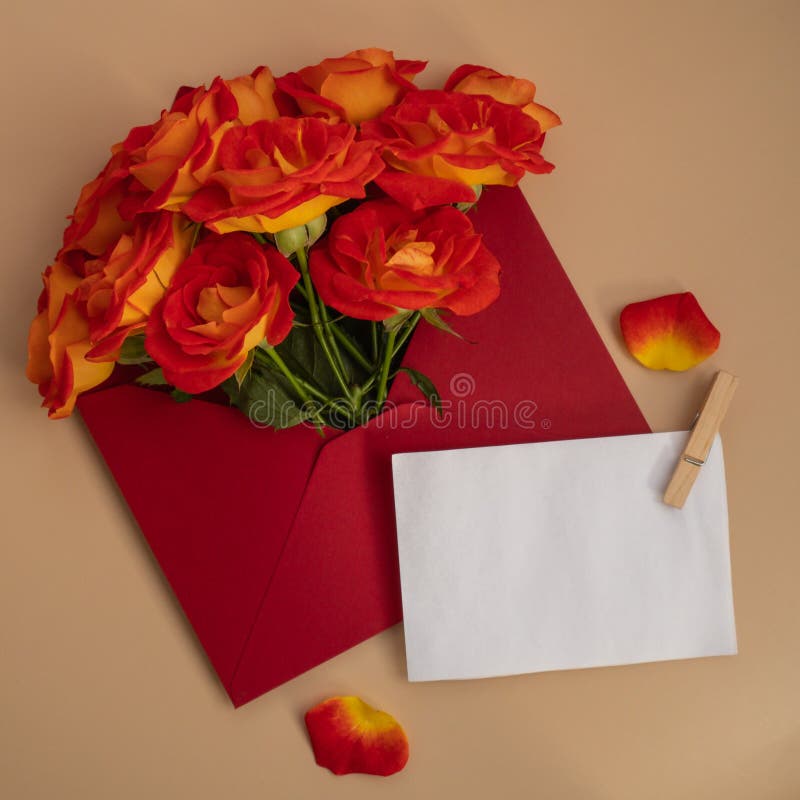 Beautiful Red Roses Flowers in Postal Red Envelope on Neutral Beige ...