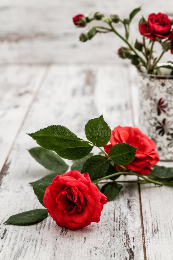 Beautiful Red Roses stock photo. Image of grunge, floral - 55515084