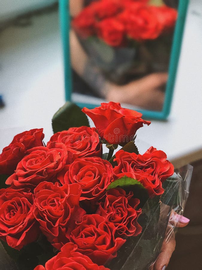 Beautiful Red Roses in the Hands Stock Photo - Image of yellow, preset ...