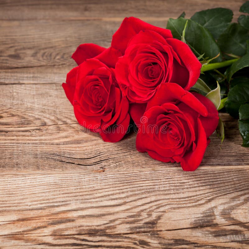 Beautiful Red Roses on the Old Board Stock Image - Image of flowers ...