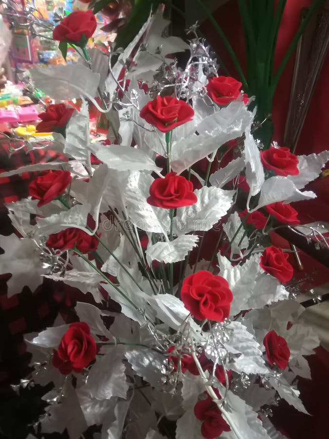 Beautiful Red Roses on Silver Plant Stock Image - Image of beautiful ...