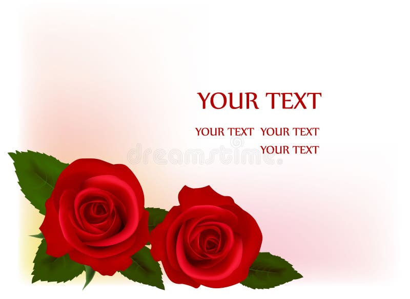 Beautiful Red Roses, Vector Stock Illustration - Illustration of ...