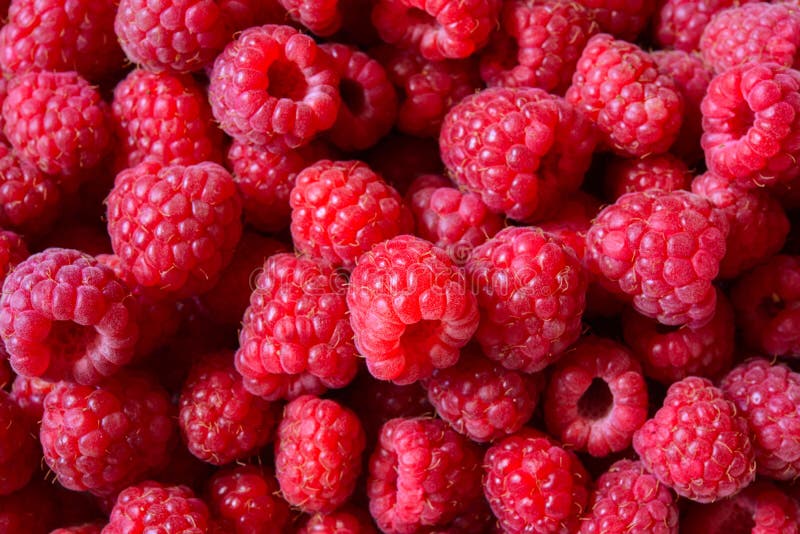 Beautiful Red Summer Background of Juicy Raspberries Stock Photo ...