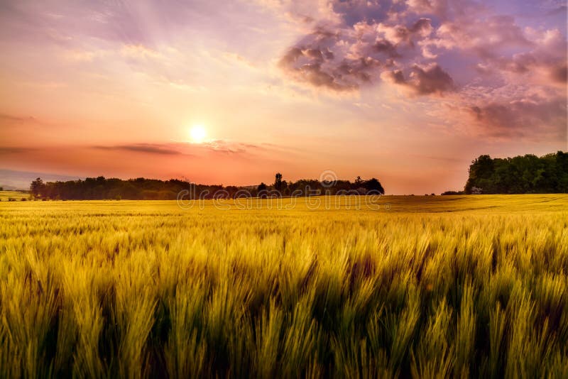 Beautiful Red Sunrise Over Fields and Forests. Stock Photo - Image of ...