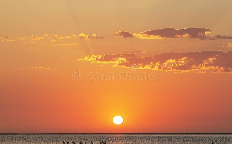 Beautiful Red Sunset and Bright Sun on the Horizon Stock Photo - Image ...