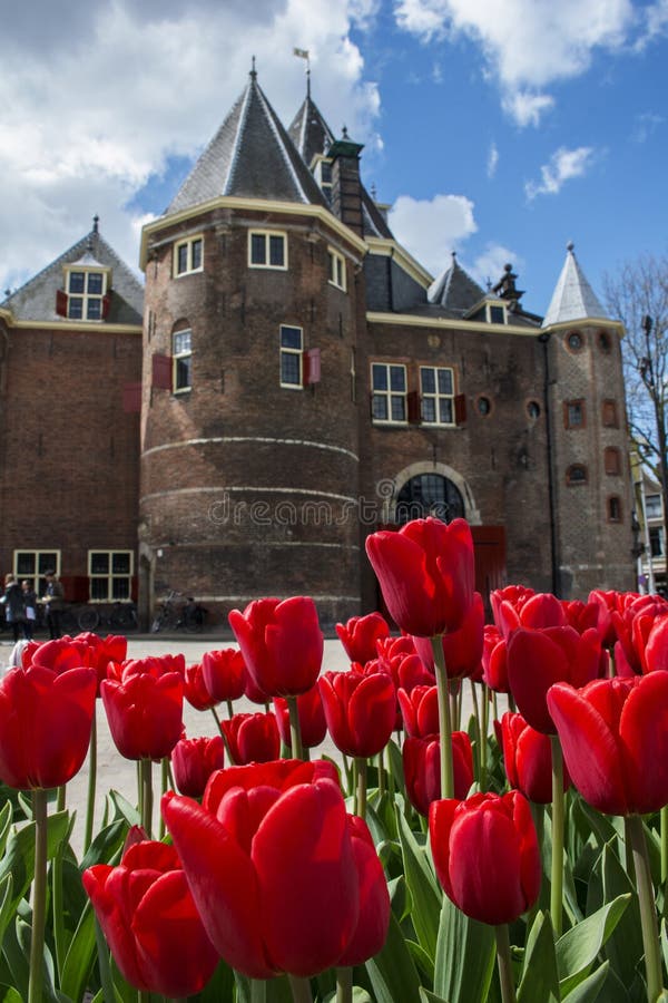 Beautiful Red Tulips Near Brown Castle in Amsterdam in the Spring Stock ...