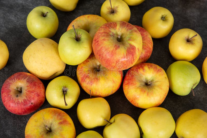 Beautiful Red and Yellow Organic Apples Stock Photo - Image of summer ...