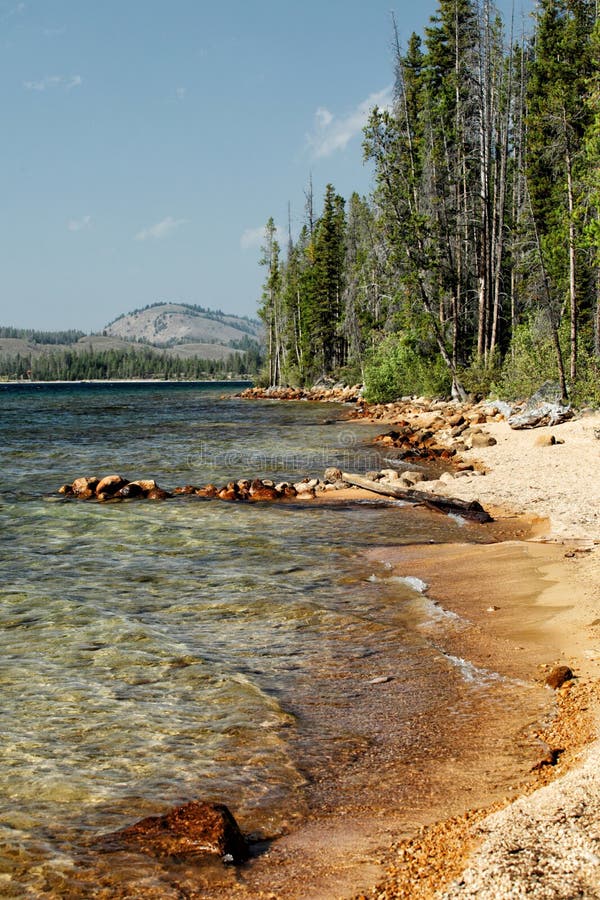 The Shore Line of Beautiful Redfish Lake Stock Image - Image of outdoor ...