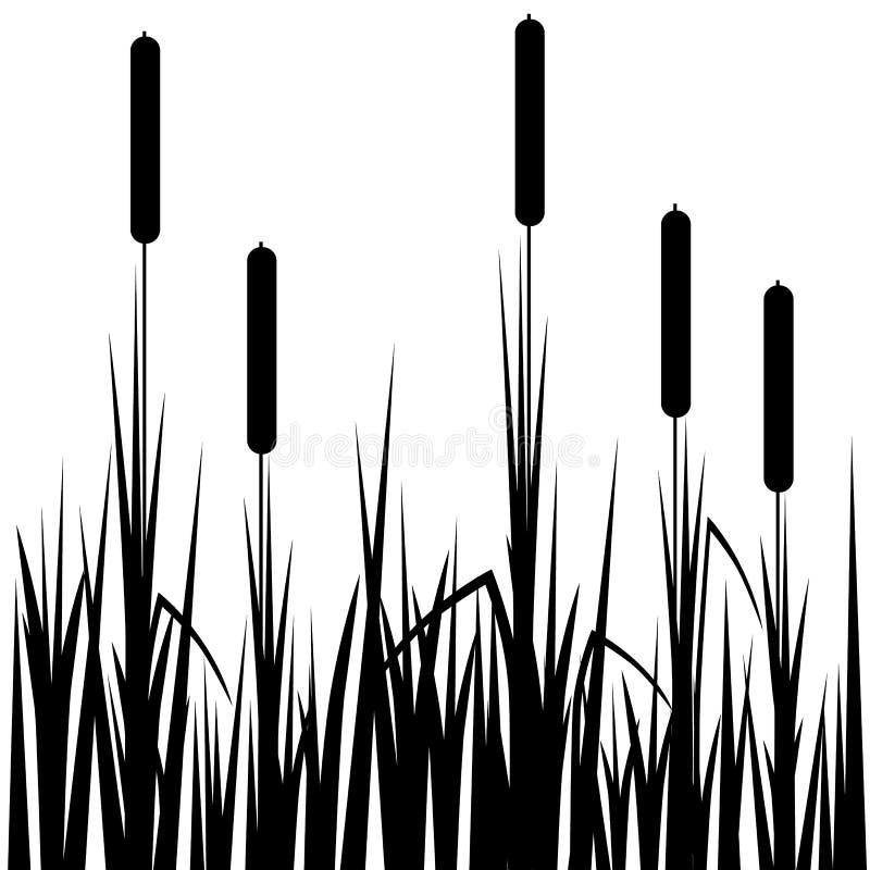 Beautiful reed black stock vector. Illustration of black - 194803793