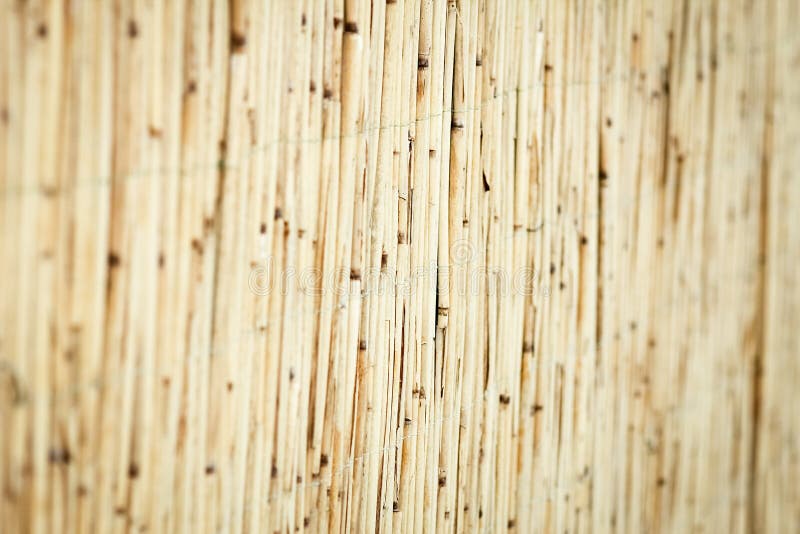A Beautiful Reed Fence Wall on Pyrode Background Stock Image - Image of ...