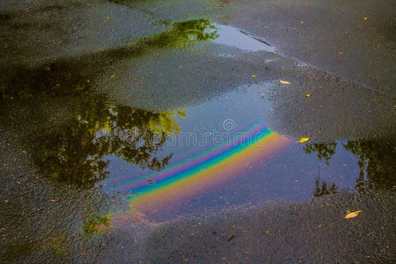 Rainbow Reflection stock photo. Image of reflect, light - 2898264