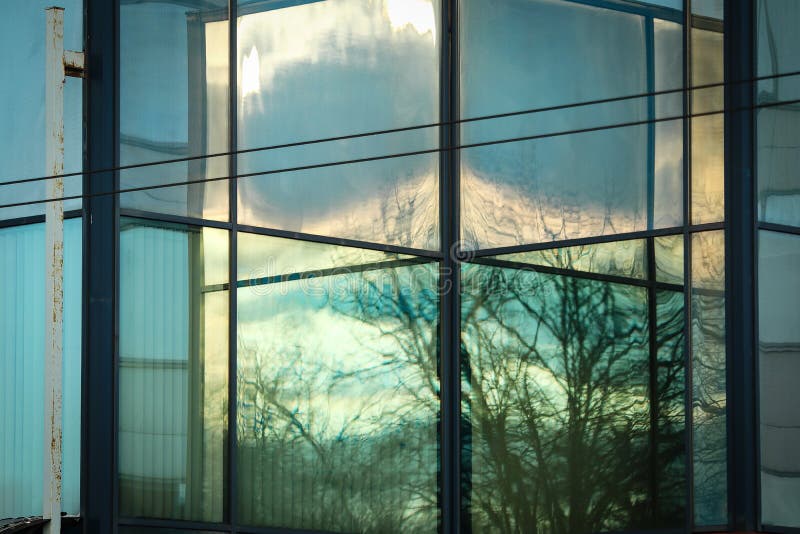 Beautiful Reflection in Glass Window with Sunset Sky, Tree Branches and ...