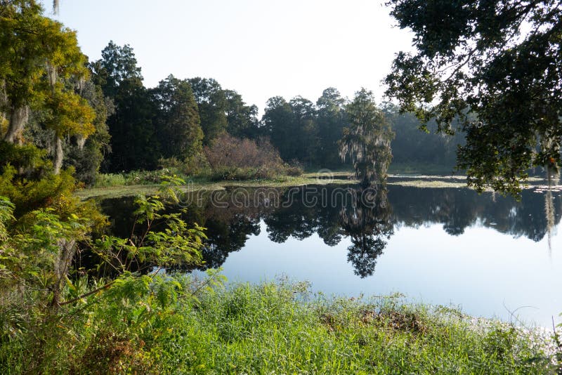 Perfect Mirror Reflection Formed by a River Stock Photo - Image of ...