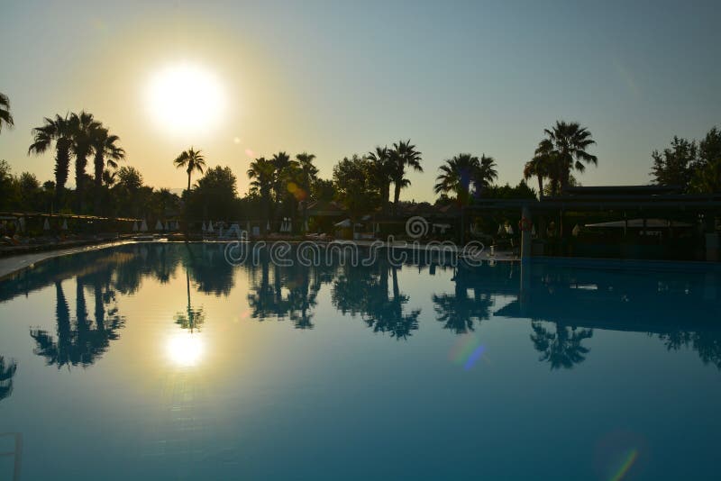 Sunrise by the Pool with Palm Trees Stock Photo - Image of holiday ...