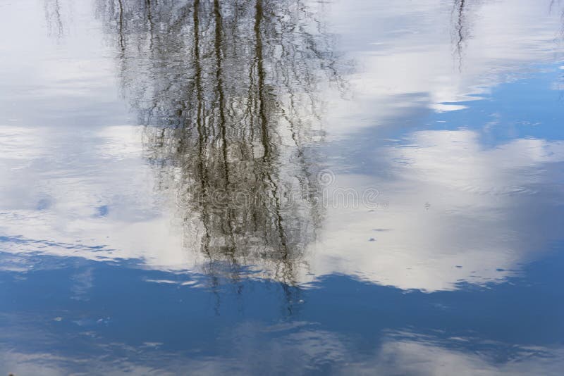 Beautiful Reflection of Trees in the Blue Mirror Smooth Surface of the ...