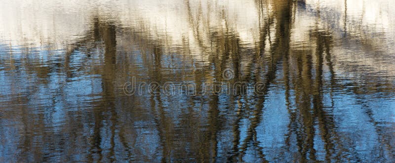 Beautiful Reflection of Trees in the Blue Mirror Smooth Surface of the ...