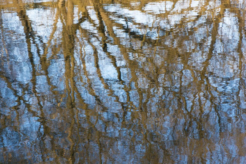 Beautiful Reflection of Trees in the Blue Mirror Smooth Surface of the ...