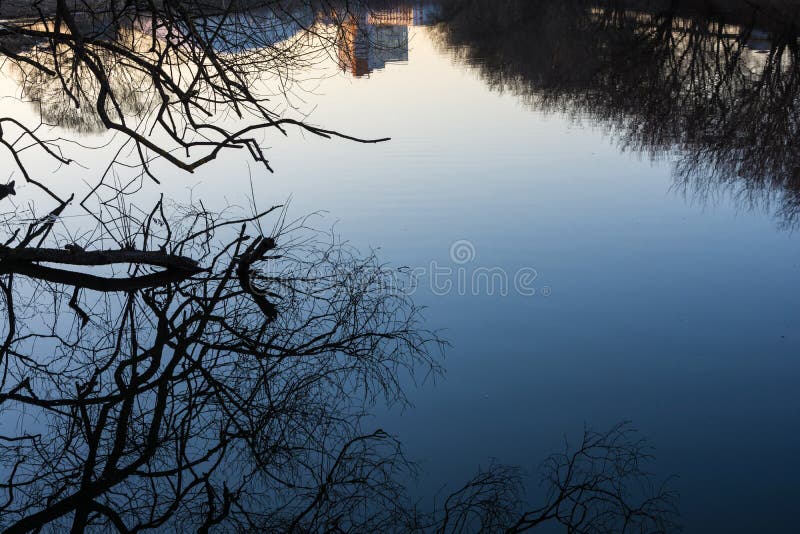 Beautiful Reflection of Trees and High-rise Building in the Mirror ...