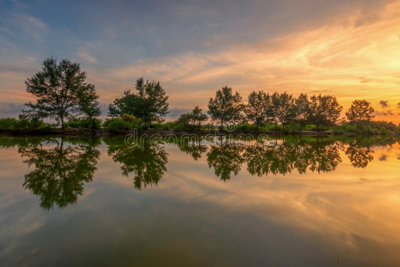 Beautiful Reflection of Trees by the Lake of Bali Stock Photo - Image ...
