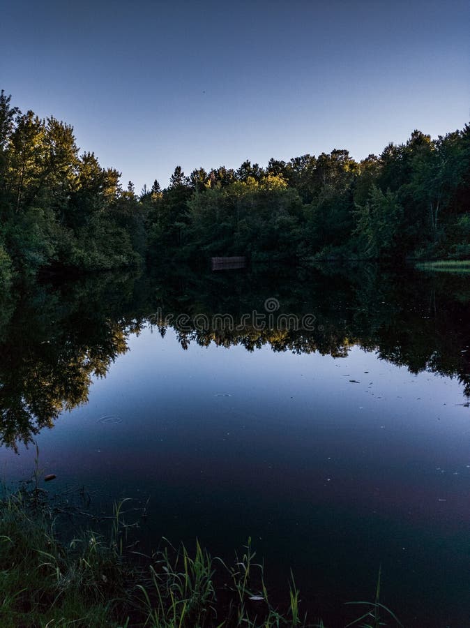 Beautiful Reflection of the Trees and Sky on To the Still Water. Stock ...