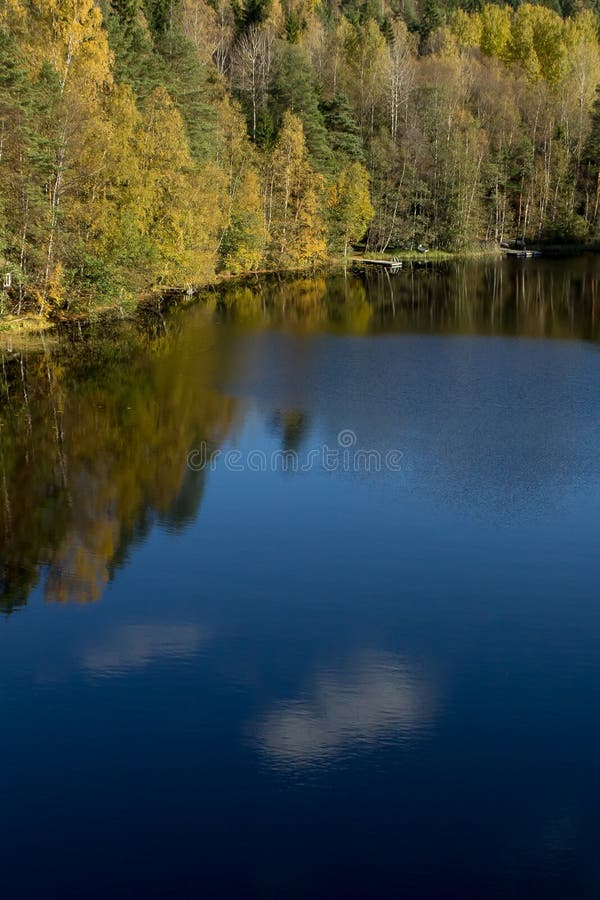 Beautiful Reflections on the Forest Pond Partly Covered with Thin Ice ...