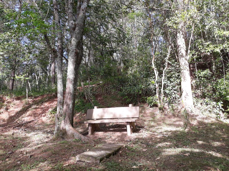 Beautiful relaxing setting stock photo. Image of middle - 129362764