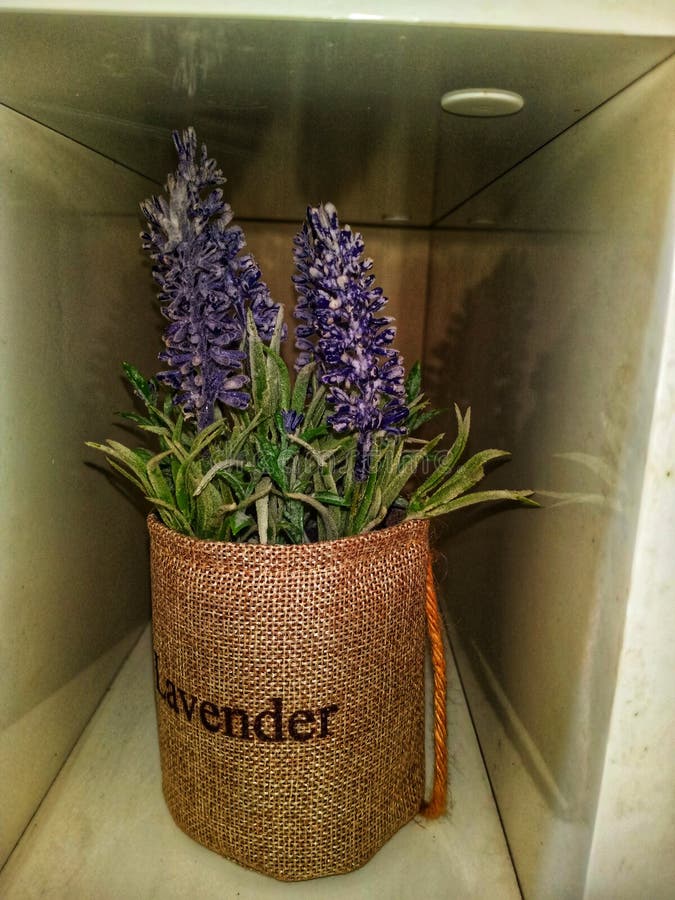 Beautiful Replica Flower on the Table Stock Photo - Image of flower ...