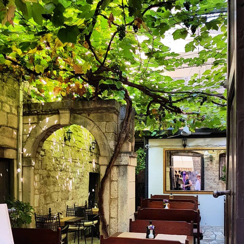 Beautiful Restaurant with Vines Overhead Editorial Image - Image of ...