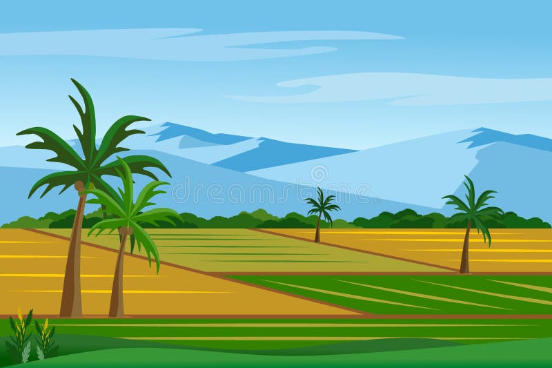 Beautiful Rice and Paddy Fields Landscape with Mountains Vector ...