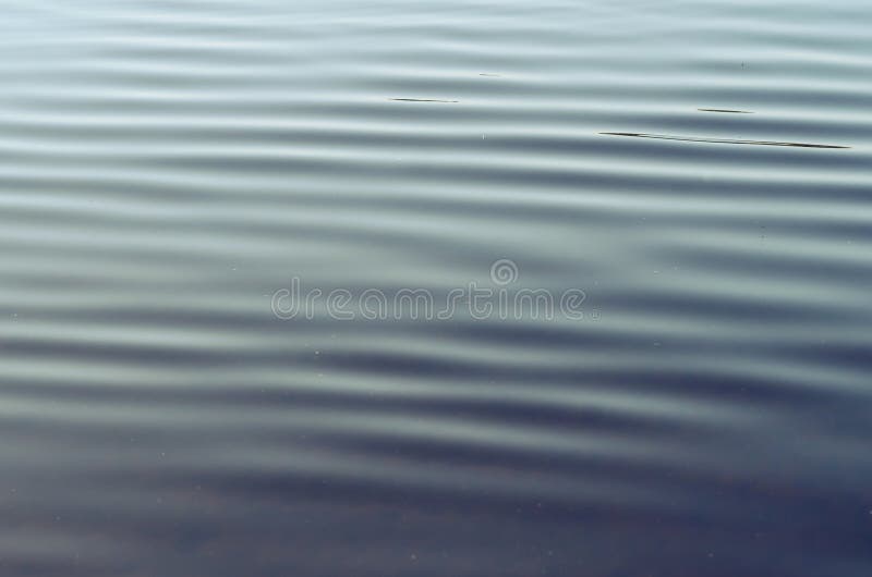 Beautiful Ripples on a Lake Stock Photo - Image of lake, peaceful ...