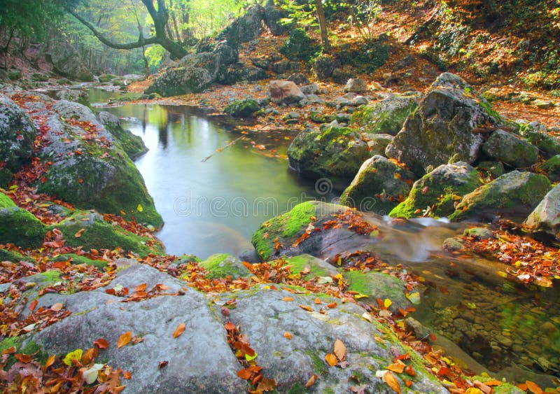 Panoramic Autumn Landscape with Forest Stream. Fall Nature Background ...