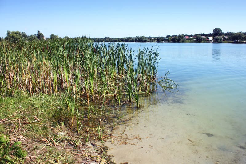 Beautiful River Bank. Pure Water Stock Photo - Image of beautiful, blue ...
